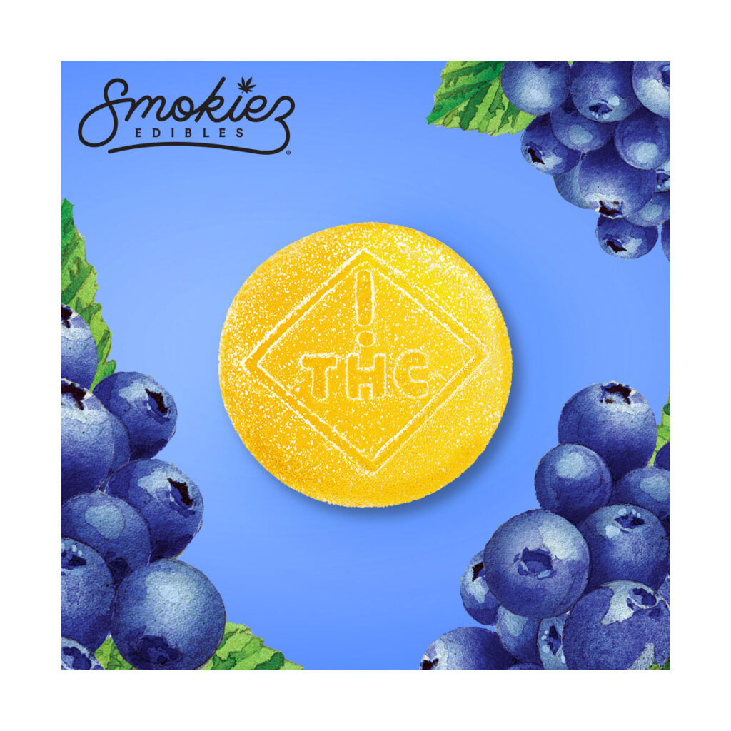Blueberry - FLUENT