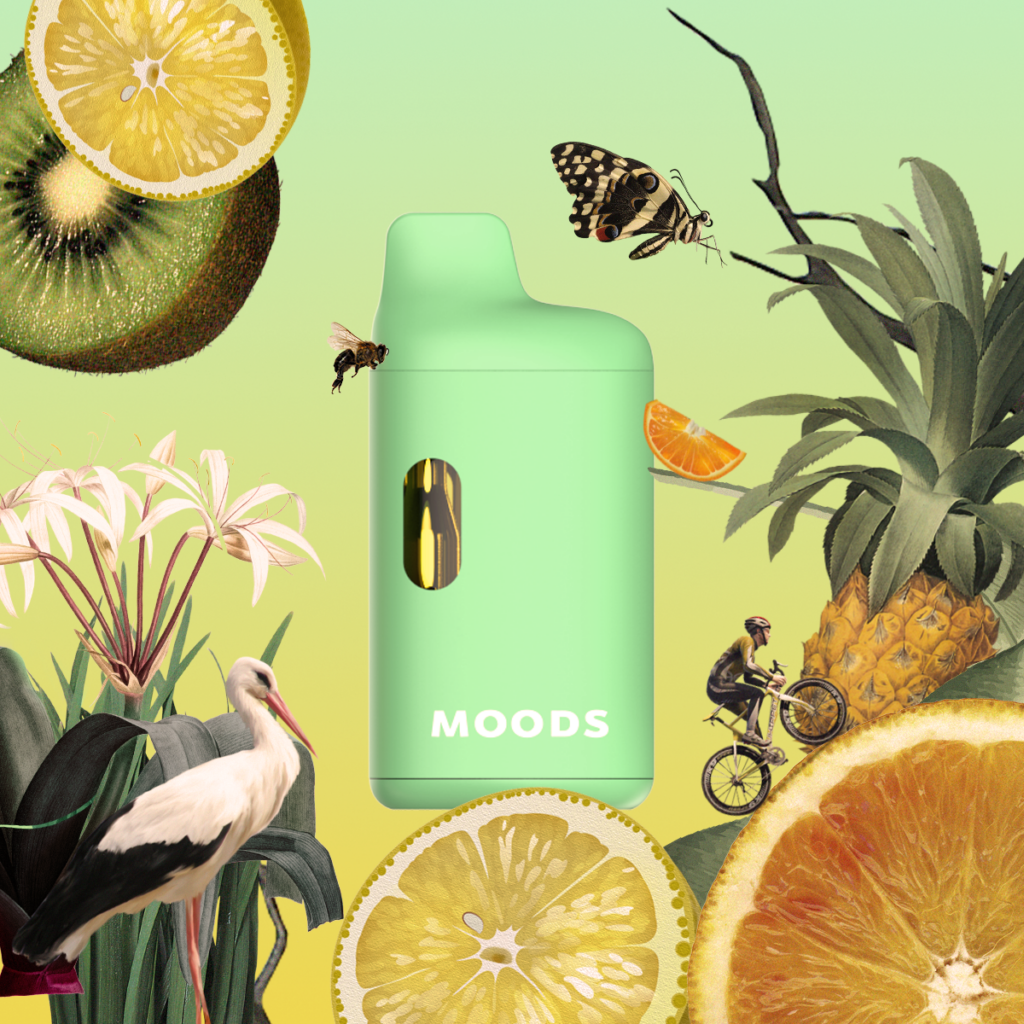 Everglade Haze - FLUENT