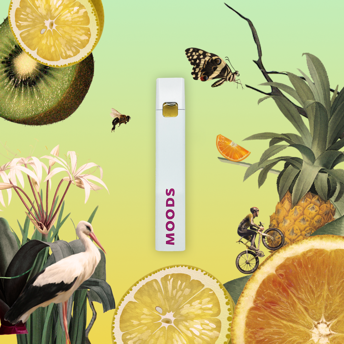 Everglade Haze - FLUENT