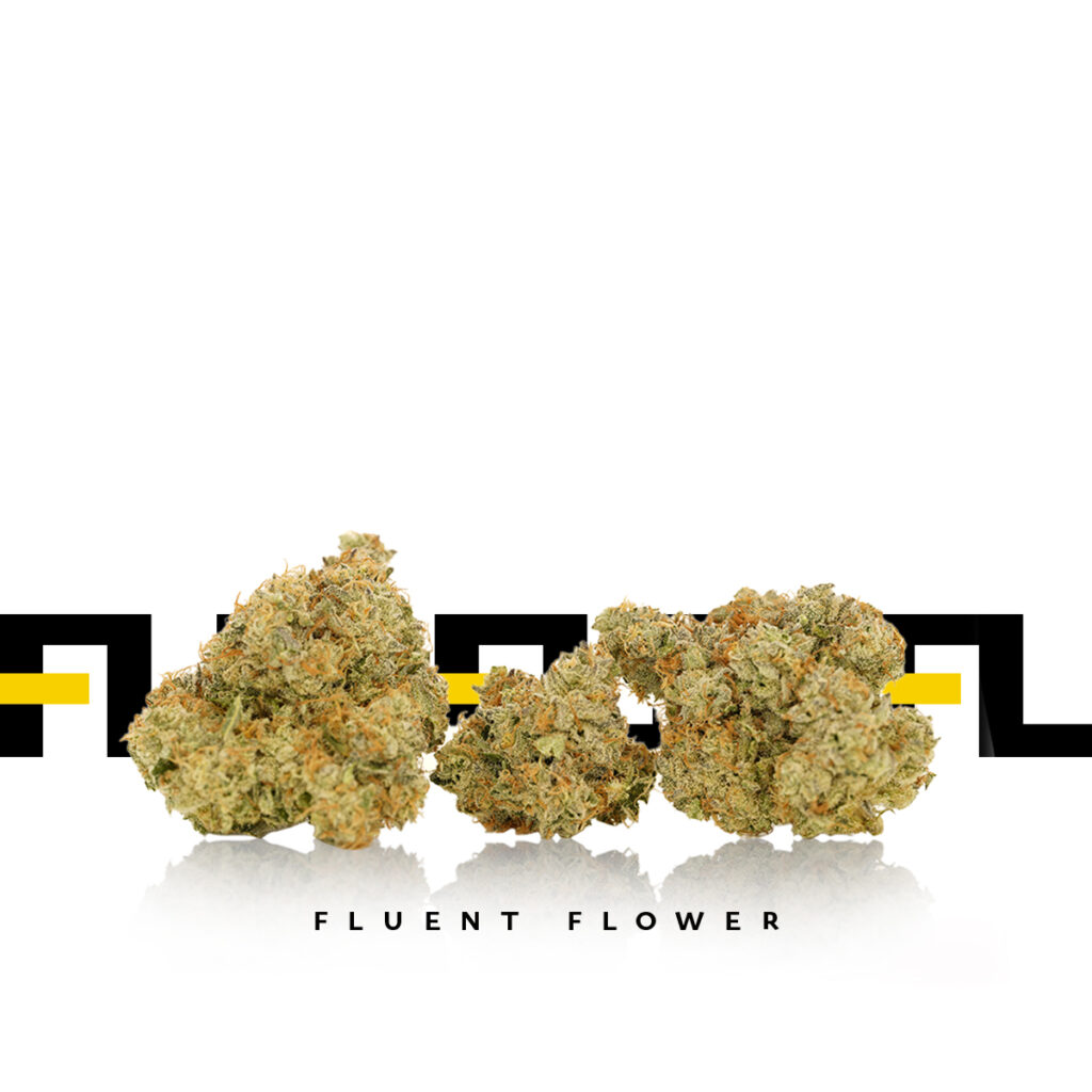 Locals Only - FLUENT