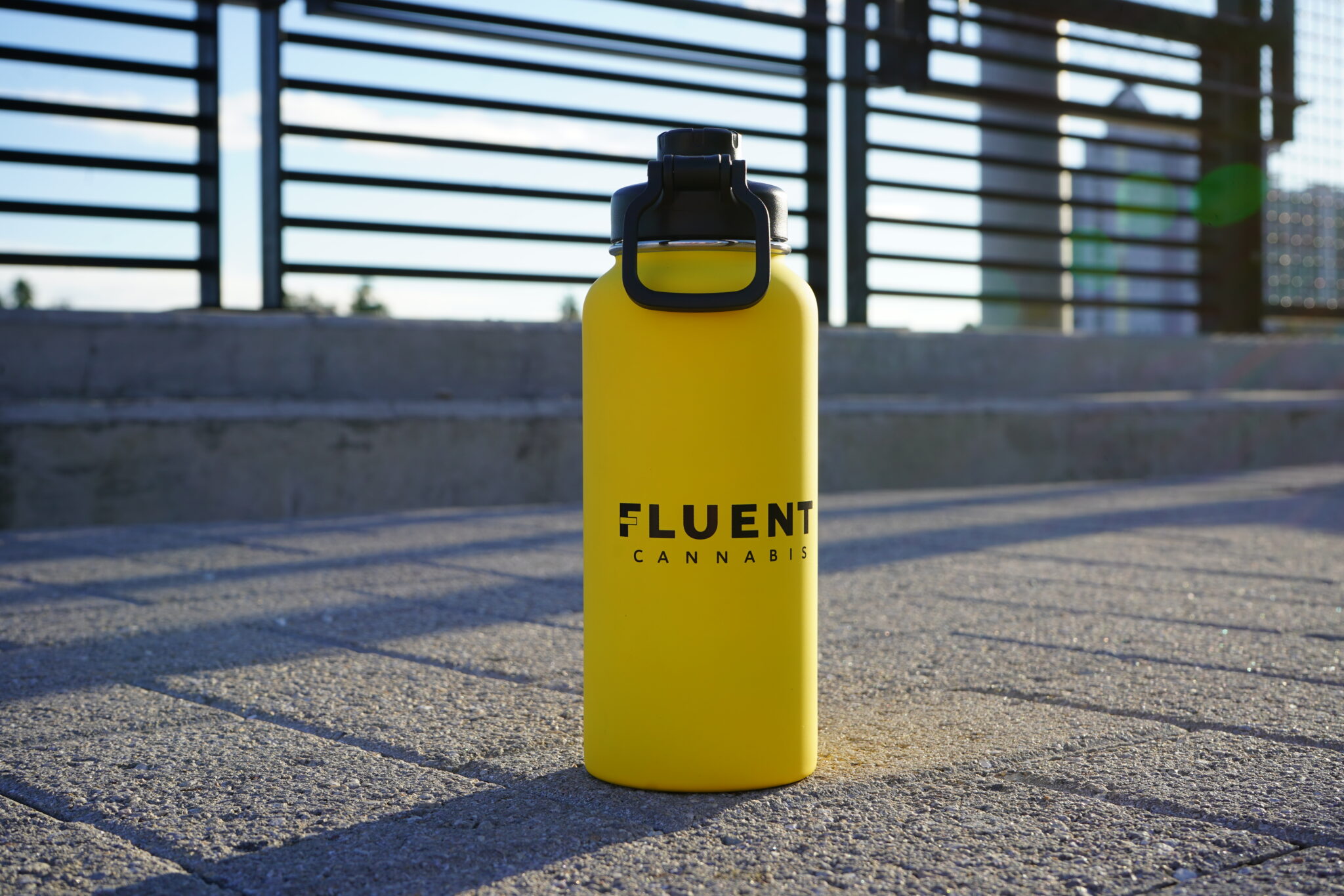 Big News: FLUENT's New Loyalty Program is Here - FLUENT